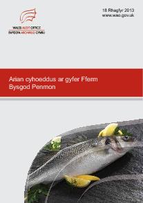 Cynnydd araf wrth fynd i'r afael â materion diogelwch mewn gwasanaethau ...