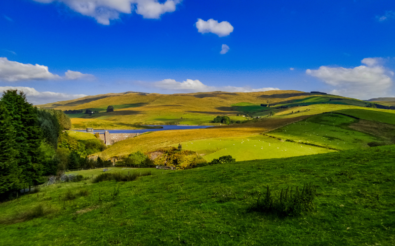 Homepage | Audit Wales