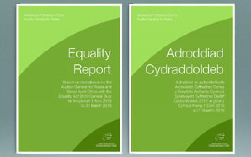 Annual review outlines our equality and diversity progress | Audit Wales Annual review outlines our equality and diversity progress | Audit Wales