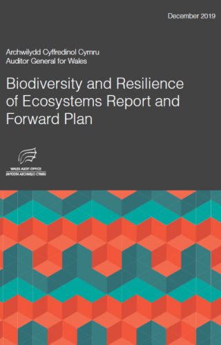 Biodiversity and Resilience of Ecosystems Report and Forward Plan ...